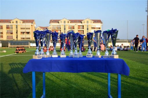 Football Field Surface Types: Natural Grass, Artificial Grass, and ...